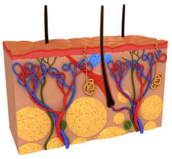 Furunkel am Bein - So wird es behandelt