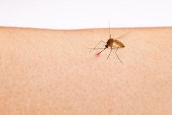 Entz ndeter Insektenstich Was Tun Und Ab Wann Ist Es Gef hrlich entz-ndeter-insektenstich-was-tun-und-ab-wann-ist-es-gef-hrlich